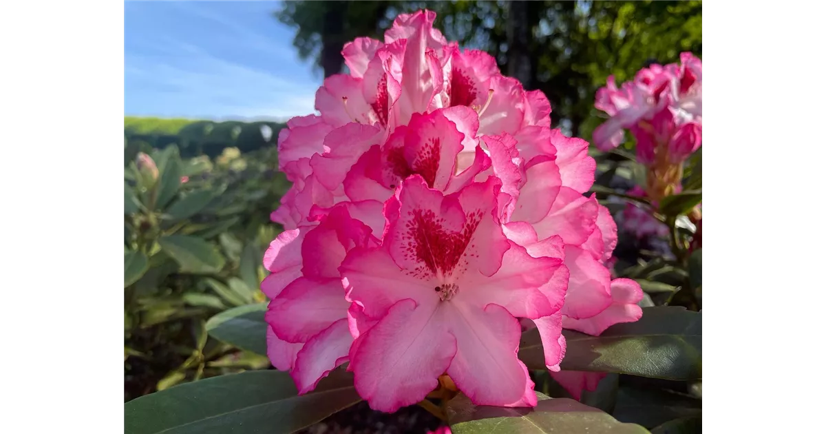 Unser Betrieb - Baumschulen Eilers