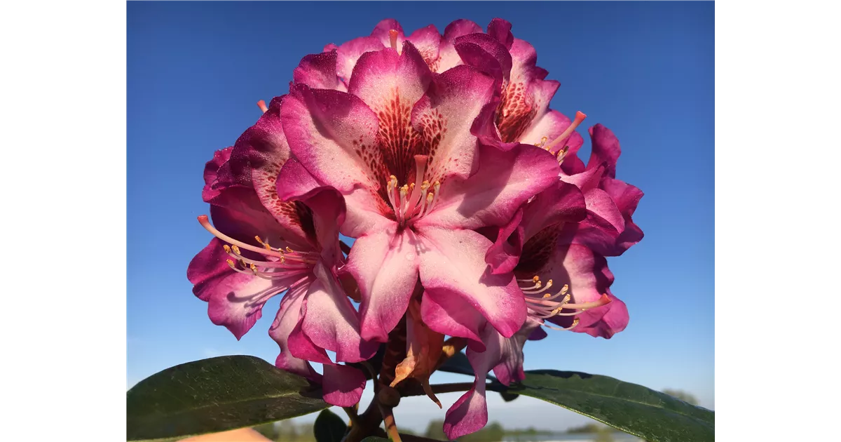 Über das Kontaktformular Kontakt zu uns aufbauen